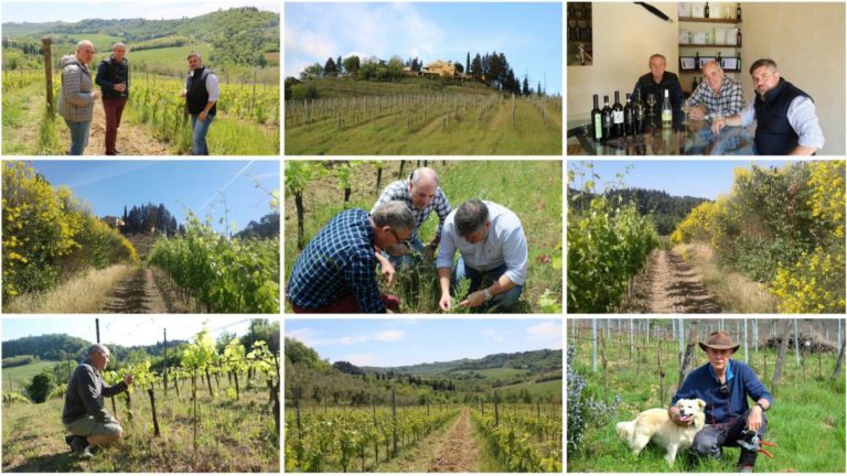 Vignano - Fratelli Fanucci - Vinothentic